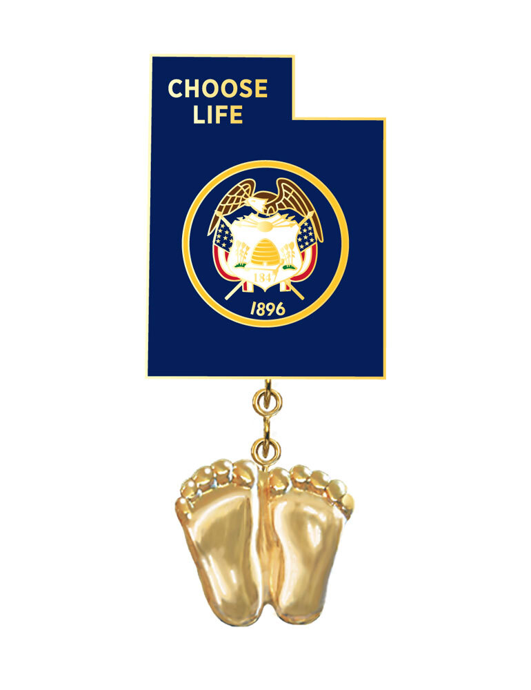 Precious Feet, 14K Gold Plated, Utah Flag Jewelry, Lapel Pin | eBay