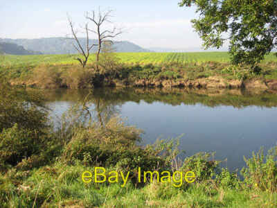 Photo 6x4 Asparagus crop by the Wye Great Doward In the flat farmland ...