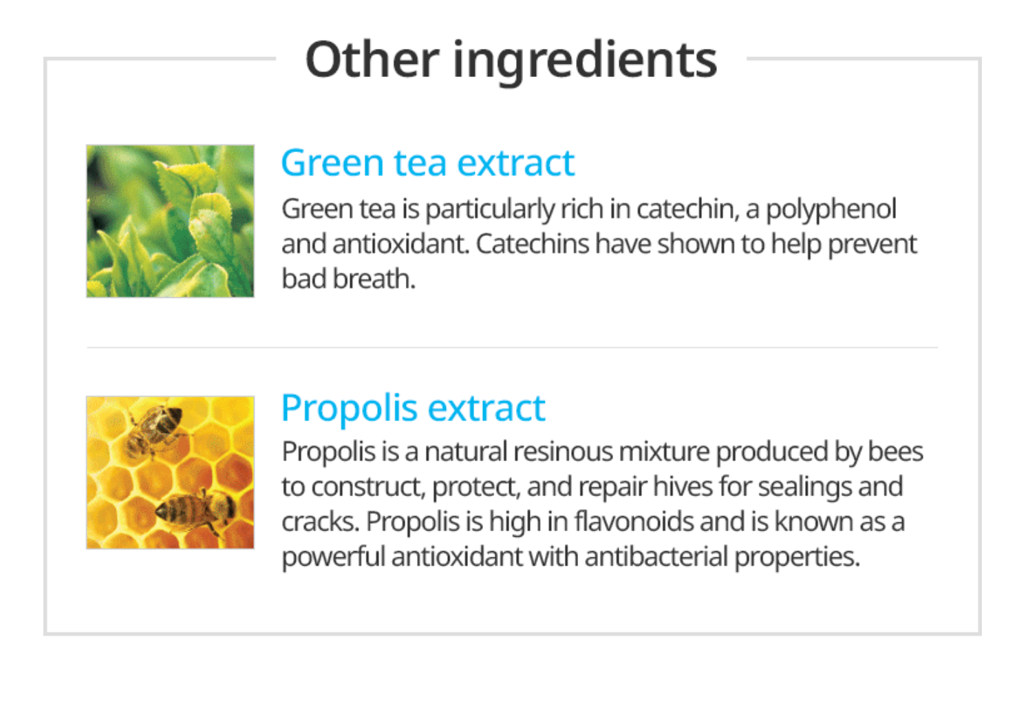 Atomy Propolis Toothpaste Oral Care Green Tea Extract 1set (50 grams X ...