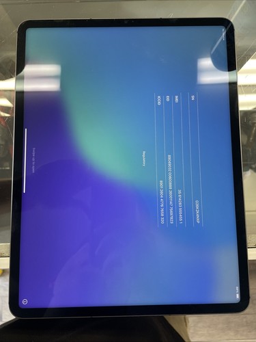 Apple iPad Pro 12.9" 5th Gen. 256GB - Gray (locked) A2379 | eBay