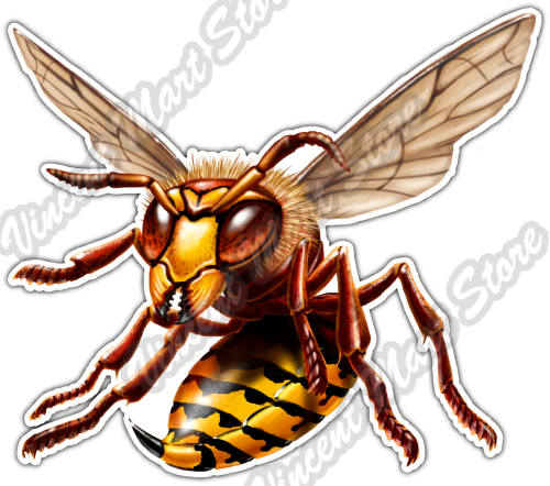 Bee Wasp Hornet Insect Bug Honey Beeswax Car Bumper Vinyl Sticker Decal ...