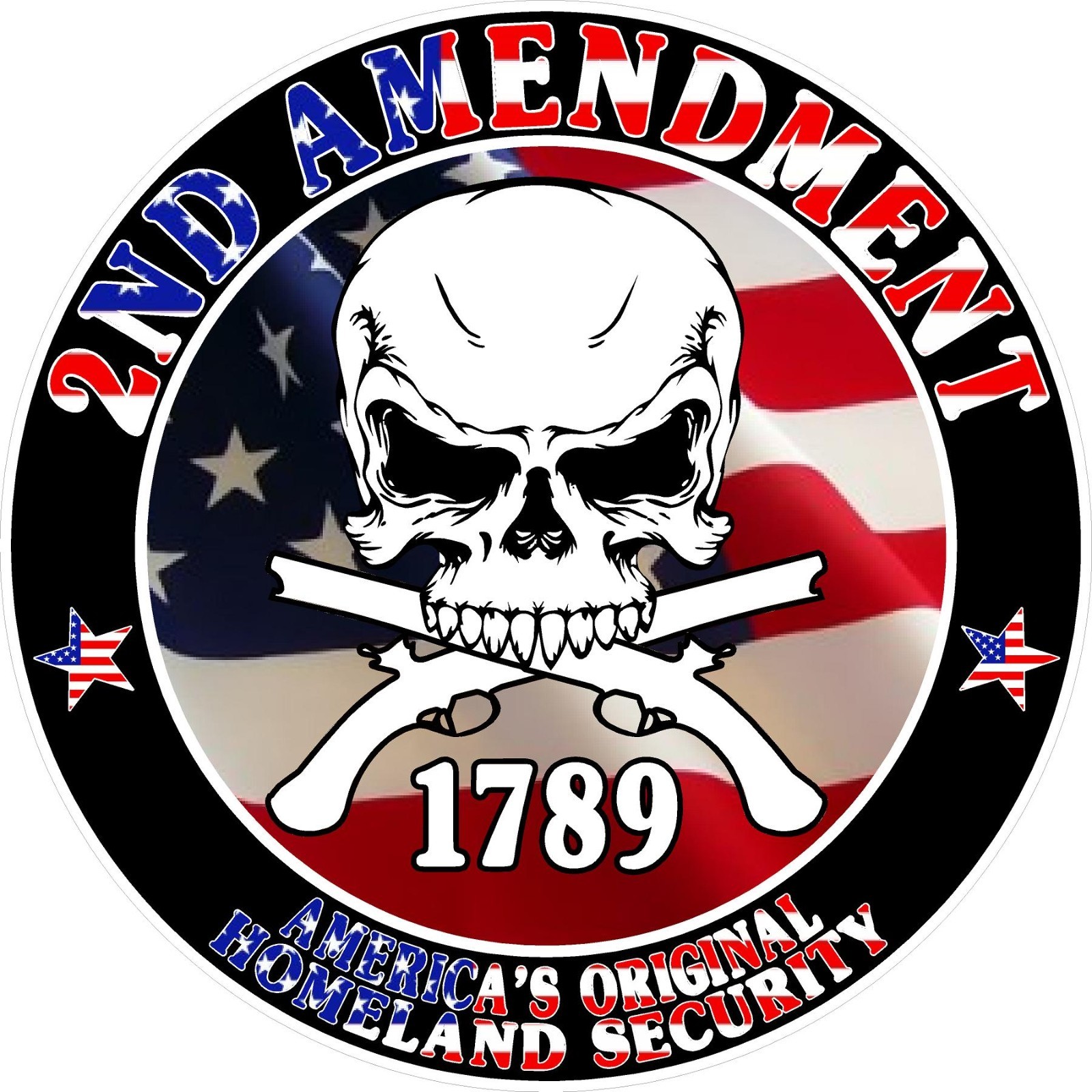 America's Original Homeland Security 2nd Amendment Decal Sticker 2A | eBay