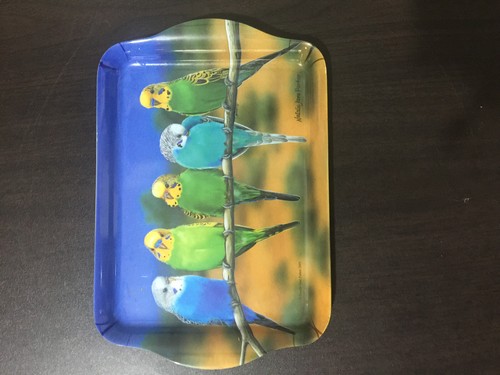 scatter tray budgie melemine 21x14cm bird cake serv tray trinket dish ...