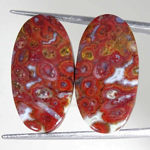 24.00Cts Naturel Rouge Palmier Racine Agate Ovale Paire Cabochon Ample ...