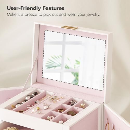Jewelry Box with Mirror, Jewelry Organizer Box with Capacious Storage ...