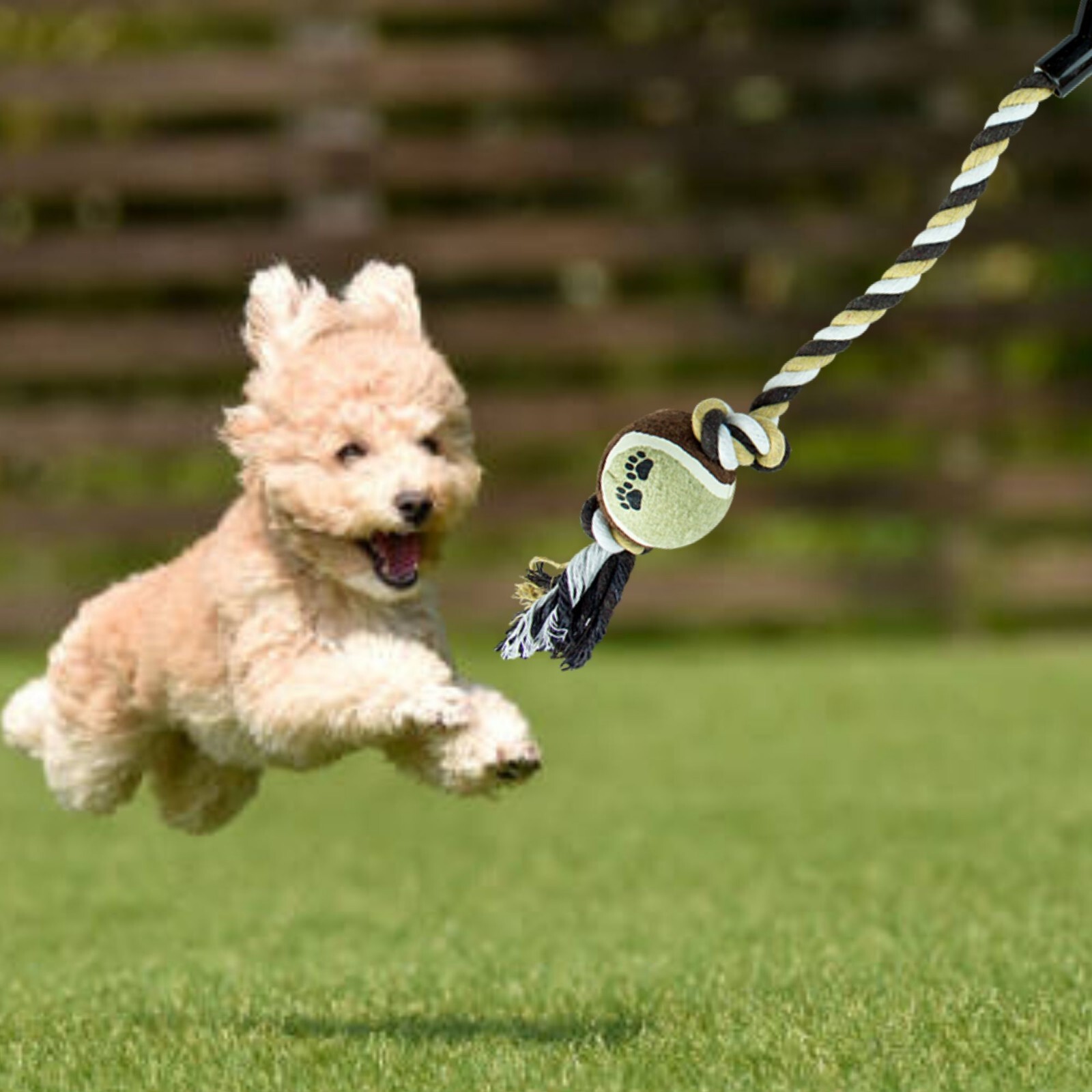 Dog Tugger Toy Rope with Ball Puppy Training Pet Chews Knots Teeth ...