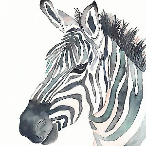 Rare Zebra Girl | eBay Stores