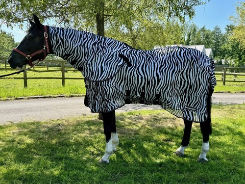 CABALLO ZEBRA FLY RUG FULL BELLY COVERAGE BUGS AND INSECT RUG | eBay UK