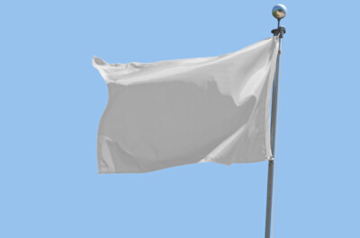 Giant Plain Brilliant White Protest Truce F1 Flag | eBay UK