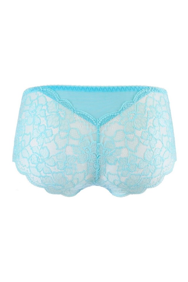 Axami 10133 Sheer Brief Panty Passion Wave | eBay