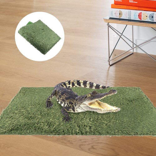 2 Pcs Climbing Pet Mat Reptile Substrate Lizard Tank Accessories | eBay