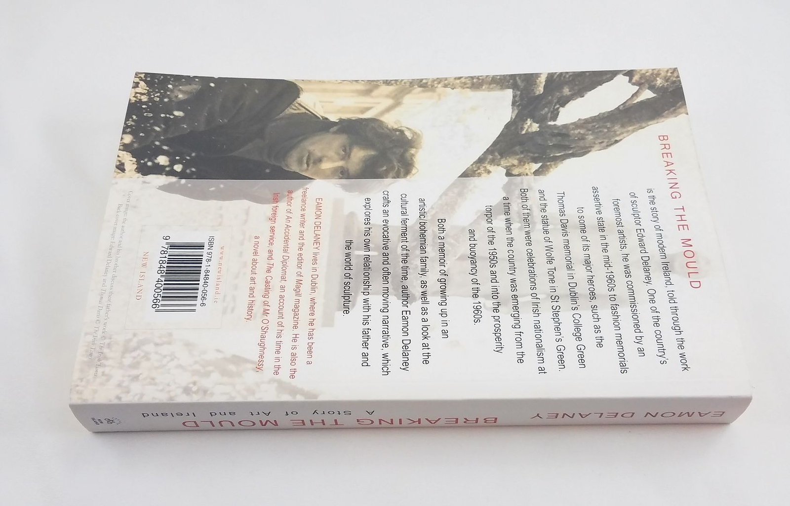Breaking the Mould : A Story of Art and Ireland by Eamon Delaney (2009 ...
