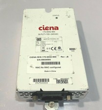 Ciena Cn3931 3931 System Module 170-3931-900 With Manuals for sale ...