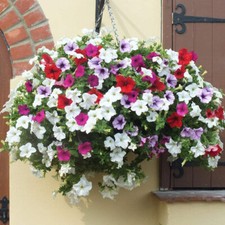 YouGarden | eBay Stores