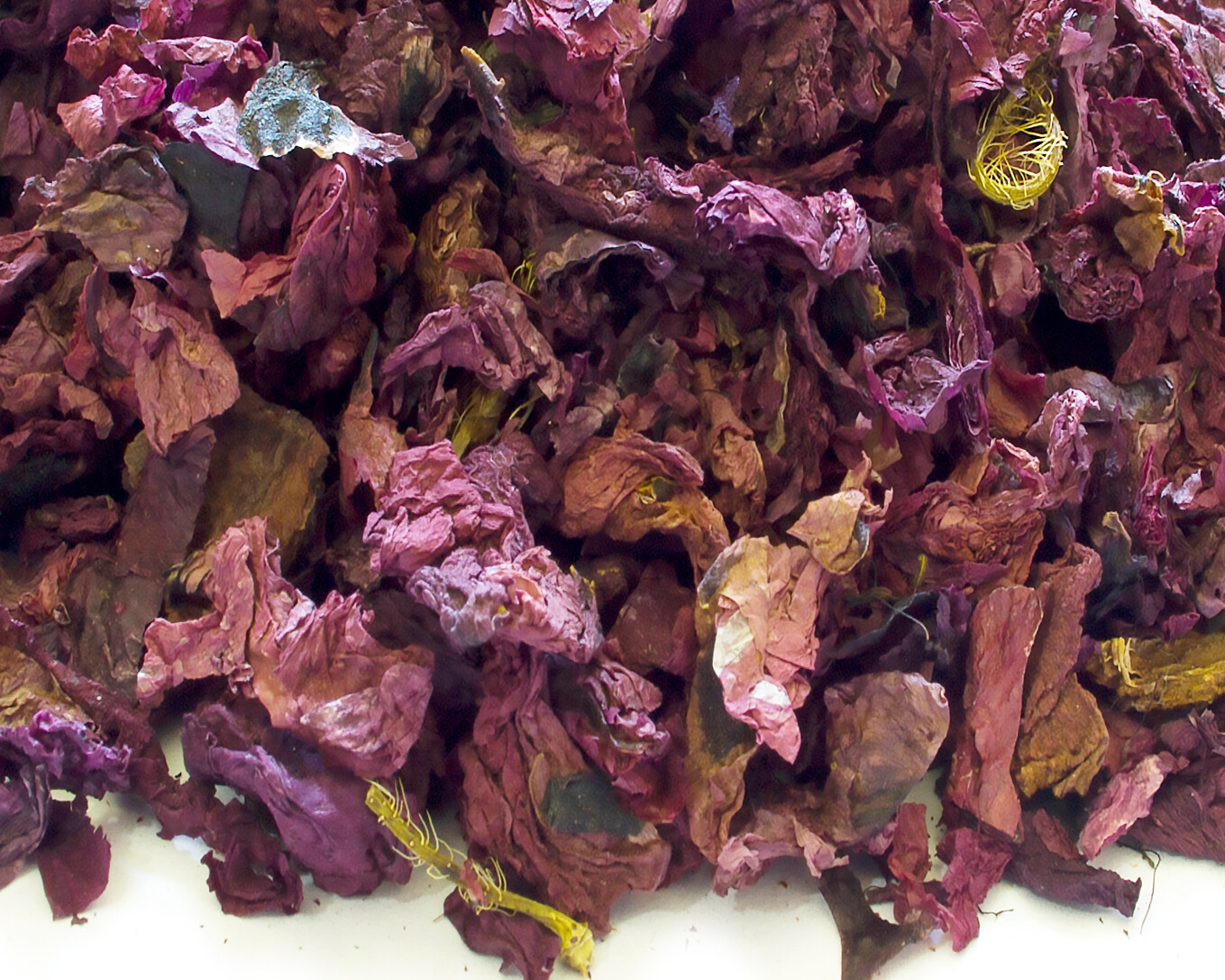 Dried Poppy Flower, Tea making Resin Bath Bomb Candle Soap Wedding ...