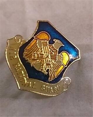 Air National Guard Military Lapel Pin Enamel on Gold Tone Metal Clear ...