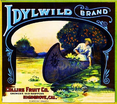 Highgrove Riverside County Idylwild Orange Citrus Fruit Crate Label Art ...