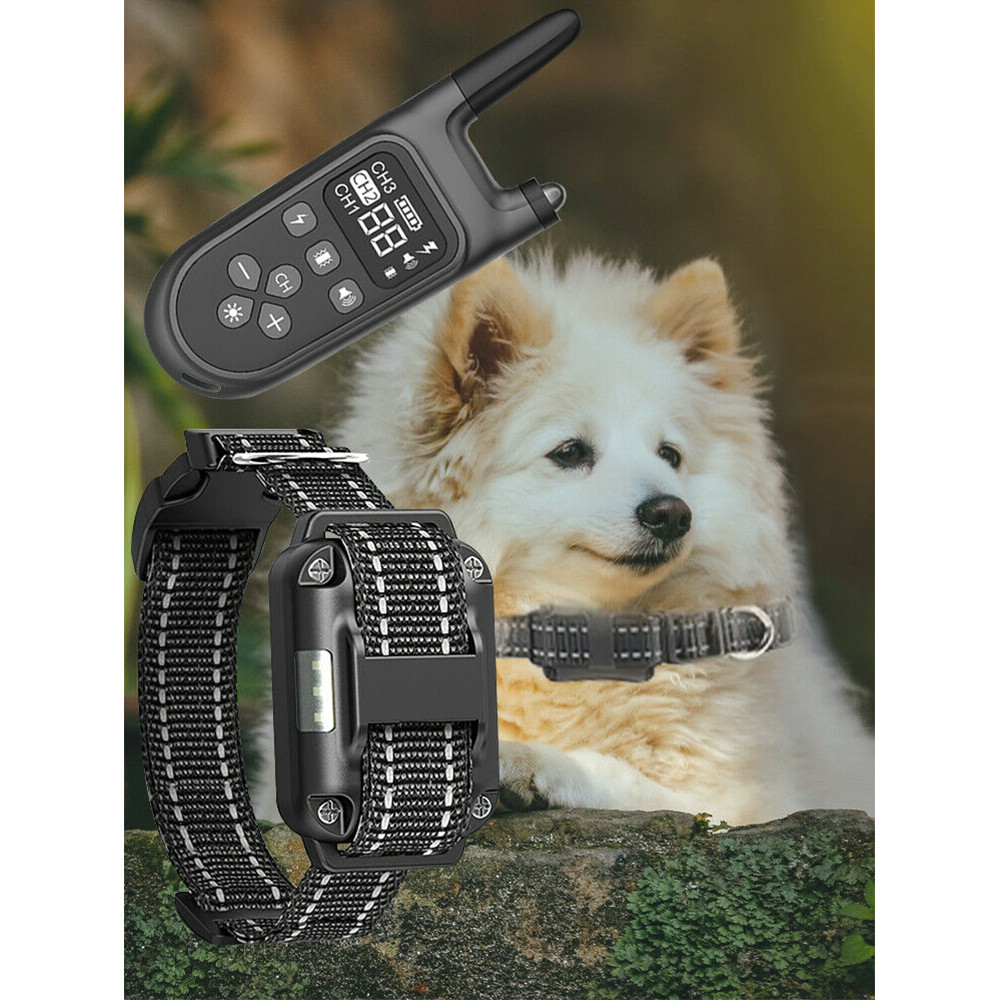 800M Electric Shock Dog Training Collar Anti-Bark Obedience With Remote ...