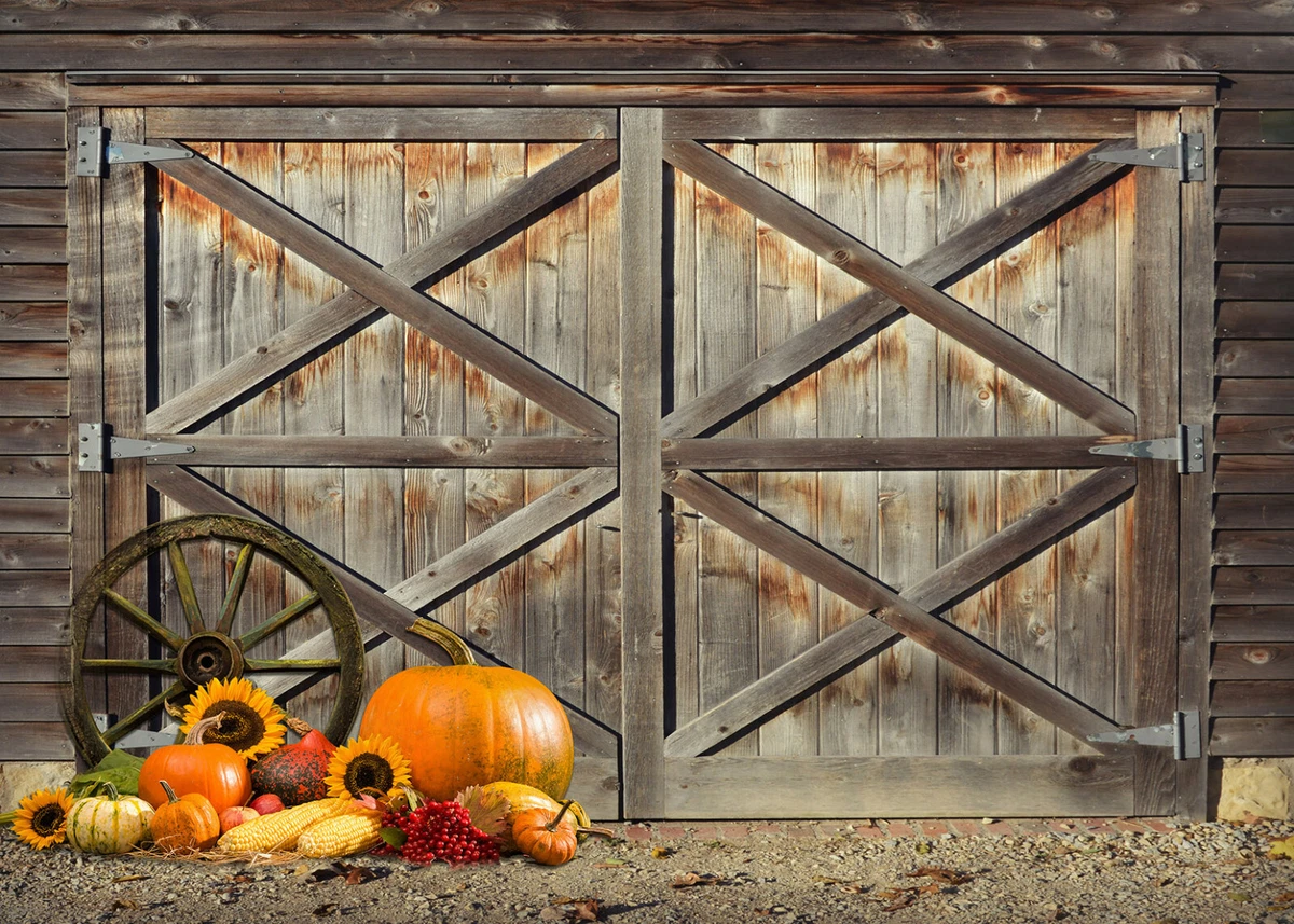 Barn Door Backdrop