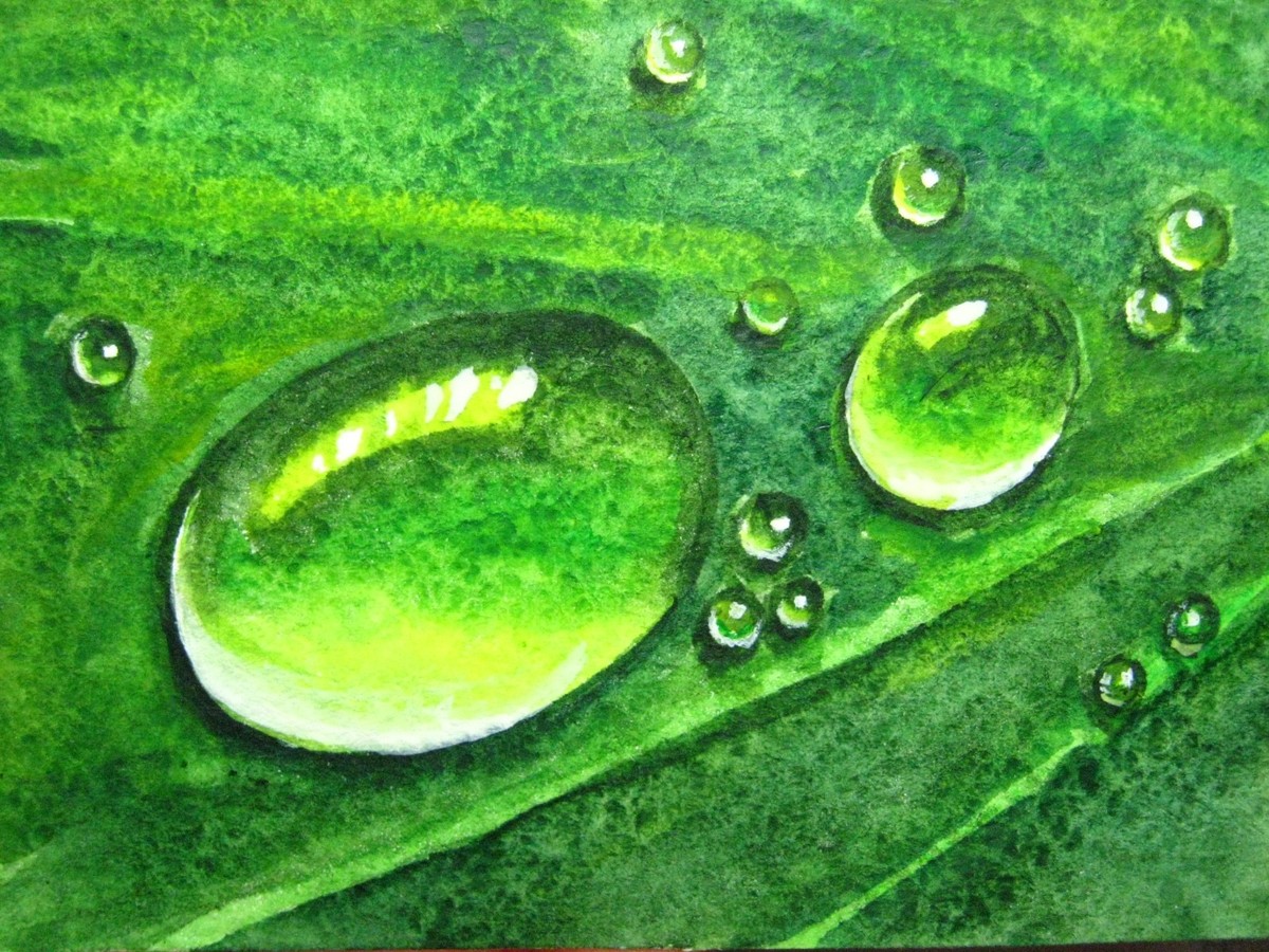 Water Drop On Leaf Drawing