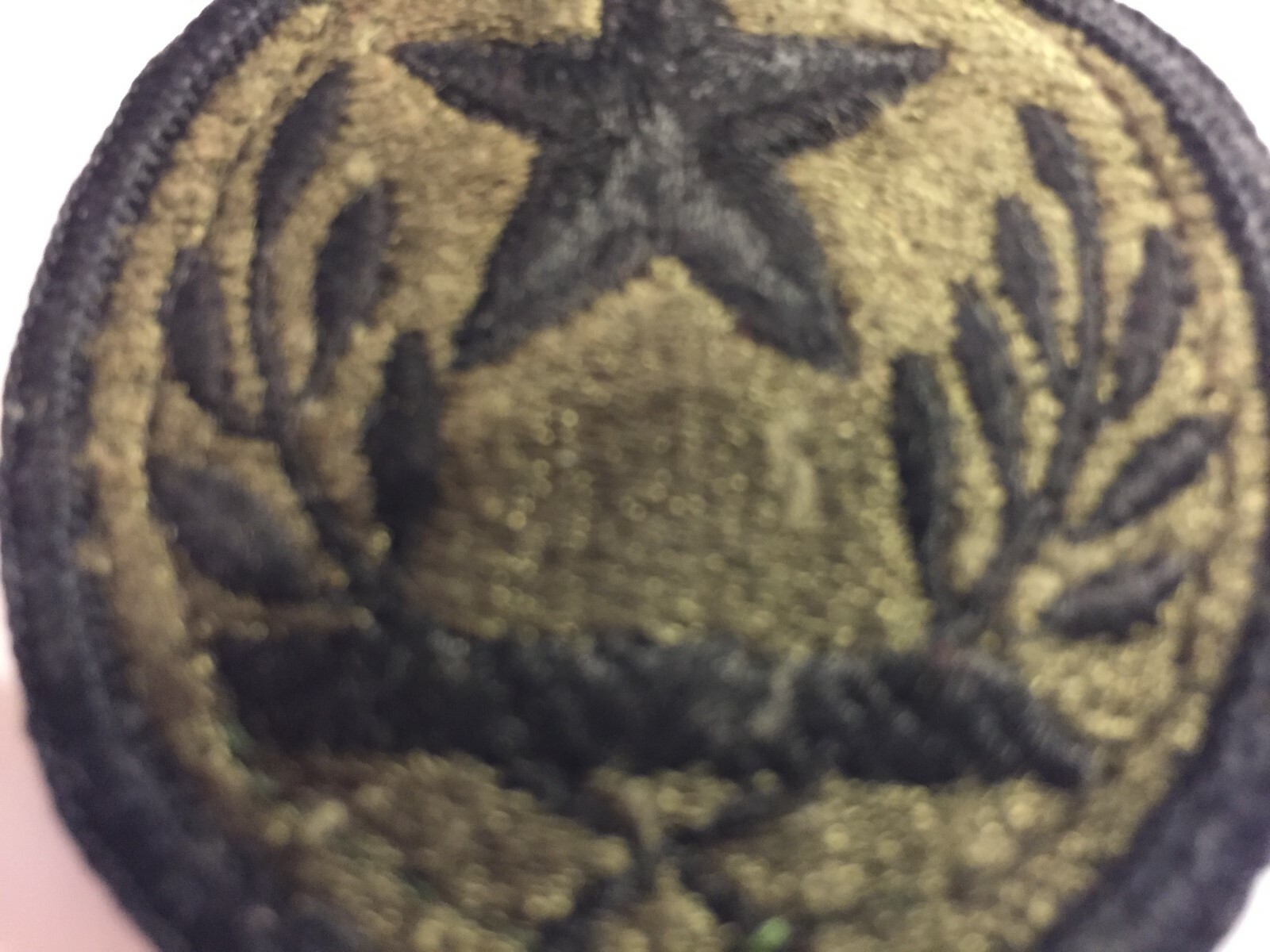 US Army Texas ARNG Subdued sew on Patch | eBay