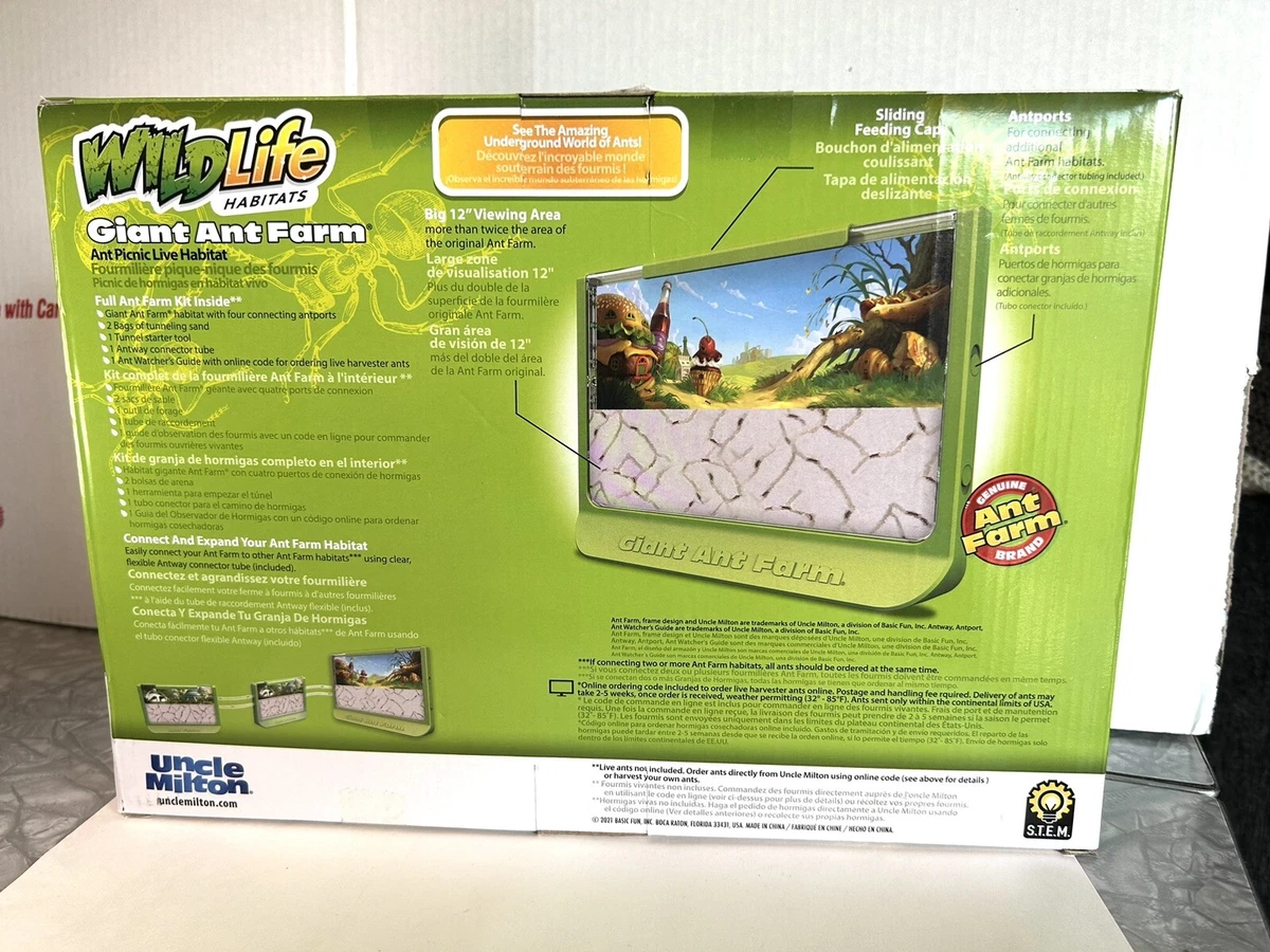 Giant Ant Farm