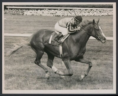 1974 Ronnie Turcotte, "Secretariat Jockey Rides His Next Winner ...