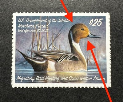 #RW91 2024 - Federal Duck Stamp **CHUCK BLACK** MNH **OFFSET EMBOSSING ...