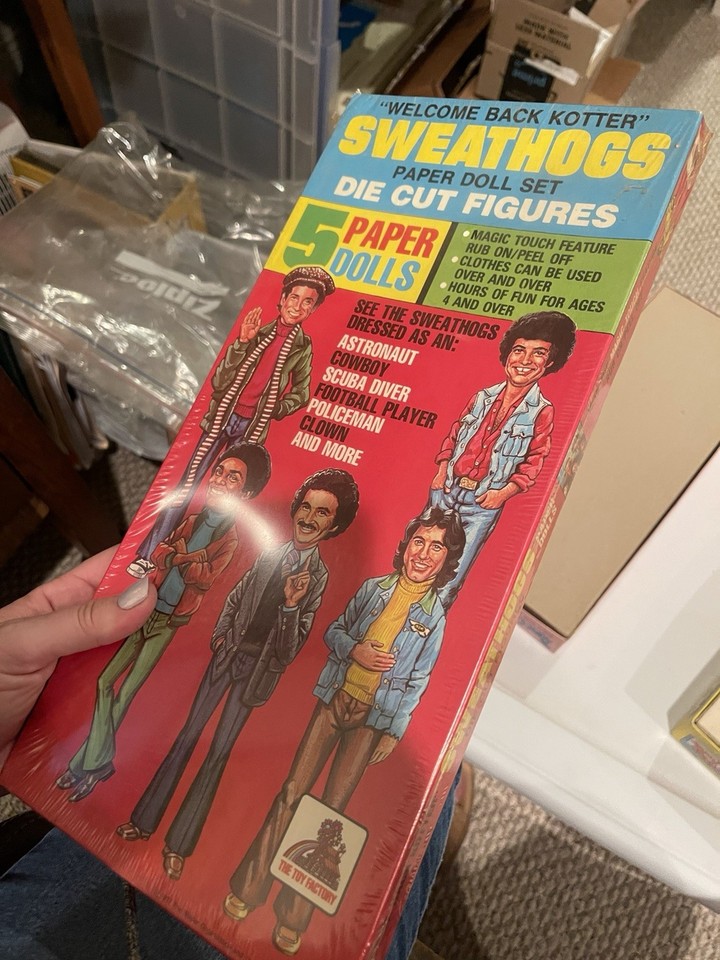 Vintage Original That Girl, Sweathogs, Susan Dey Paper Doll Box Lot ...