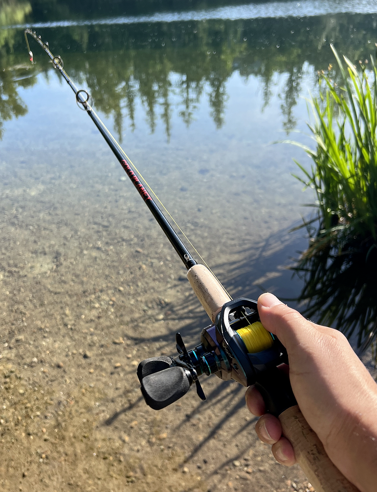 Fishing Pole Spinning Casting Rod Carbon Fiber 9ft Medium Fast ...