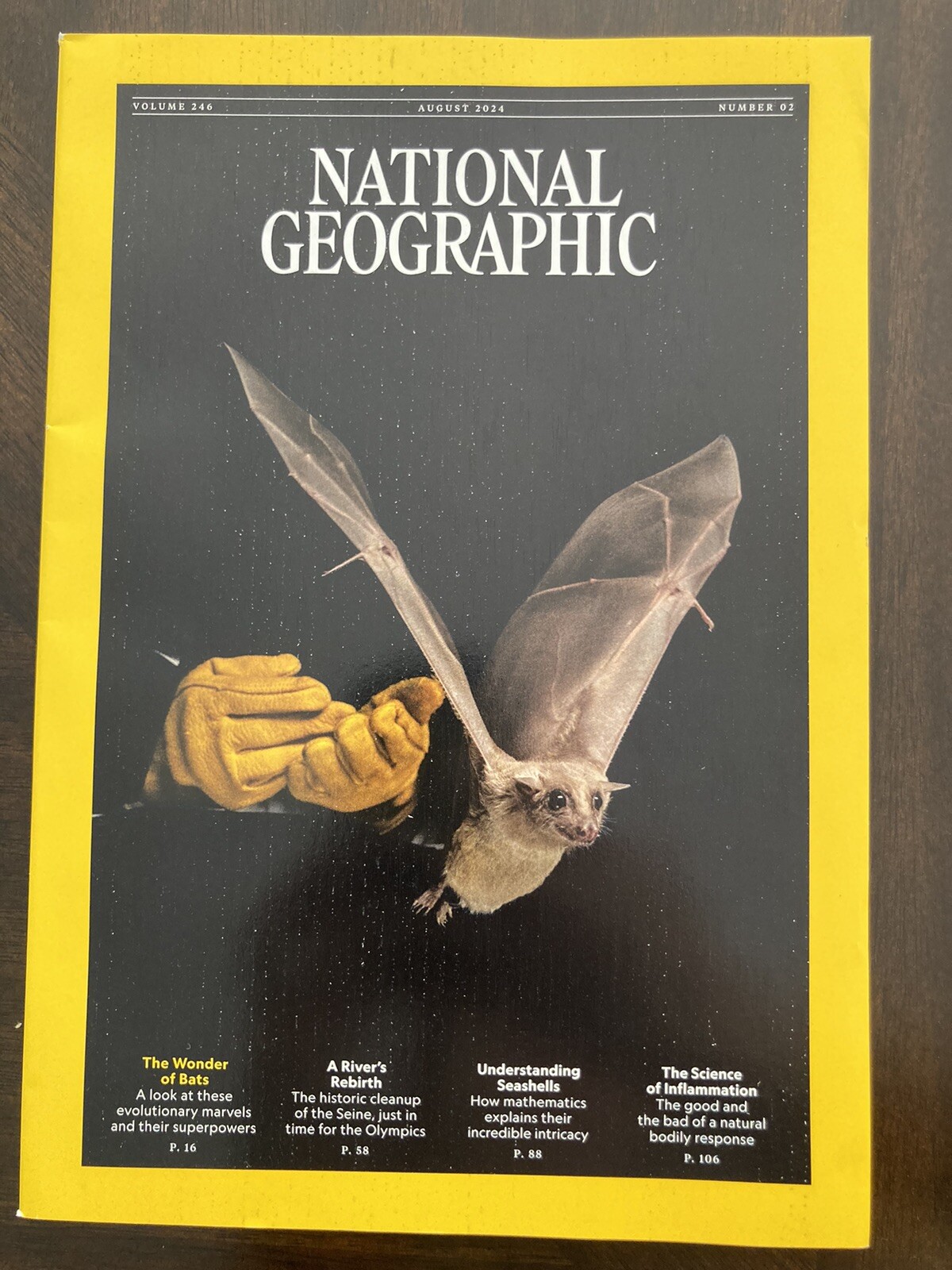 National Geographic AUG 2024 Vol 246 #2 Bats•Seine•Seashells ...