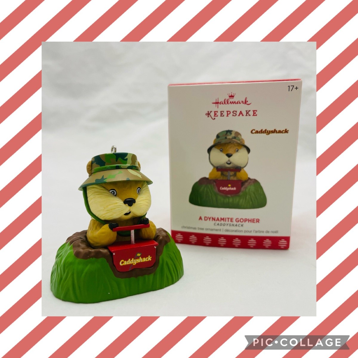 Caddyshack Gopher Quotes 34 Bill Murray Caddyshack Photos & High Res