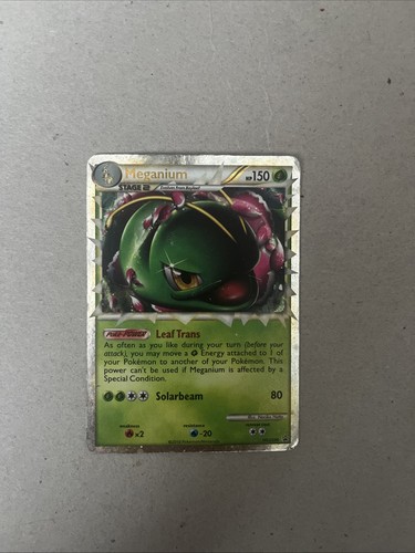 Meganium Prime HGSS08 Black Star Promo Ultra Rare Pokémon Card MP | eBay