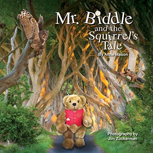 Mr. Biddle and the Squirrel's Tale by Mason, Anne [Paperback ...