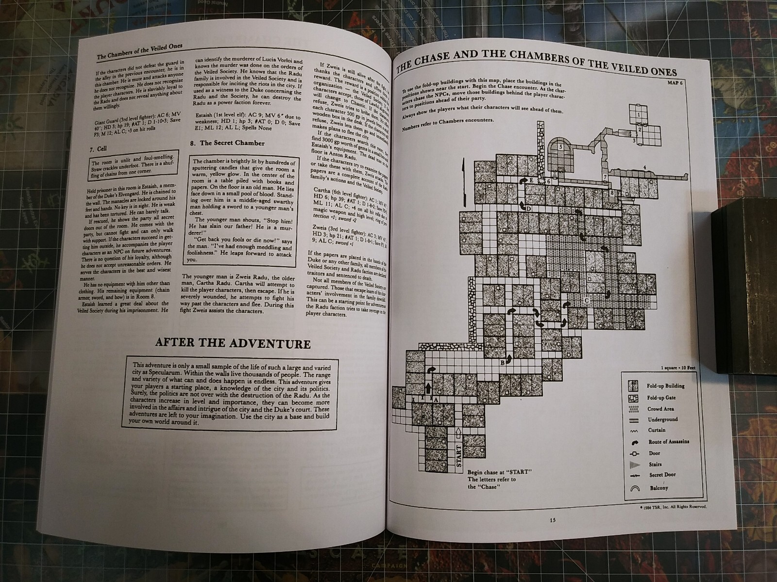 B6 The Veiled Society - Dungeons & Dragons - D&D - AD&D | eBay