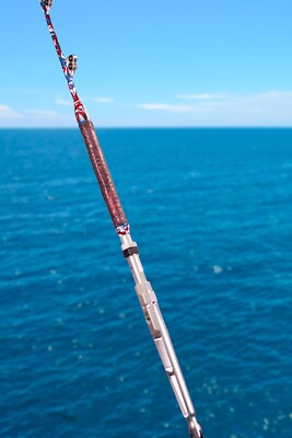 Custom Fishing Rod, Real Crocodile Skin Grips, Awesome Paint Job ...