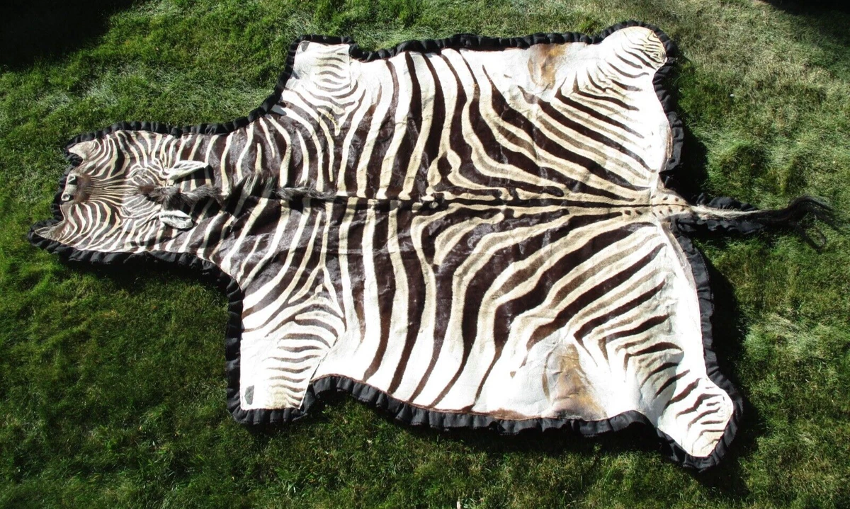 Authentic Animal Skin Rugs