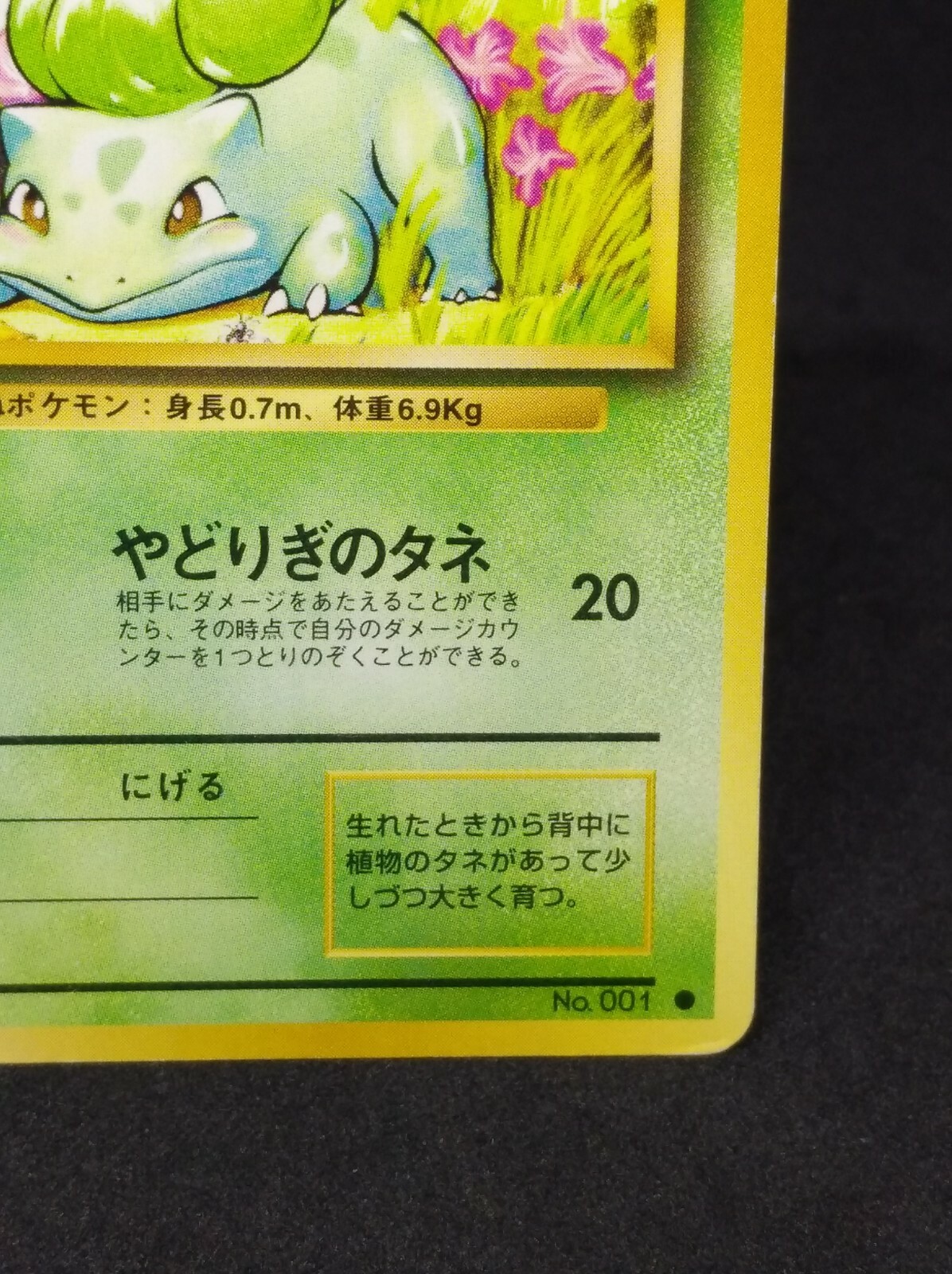 Bulbasaur Pokemon Card No.001 Base Set 1st First edition Japanese ...