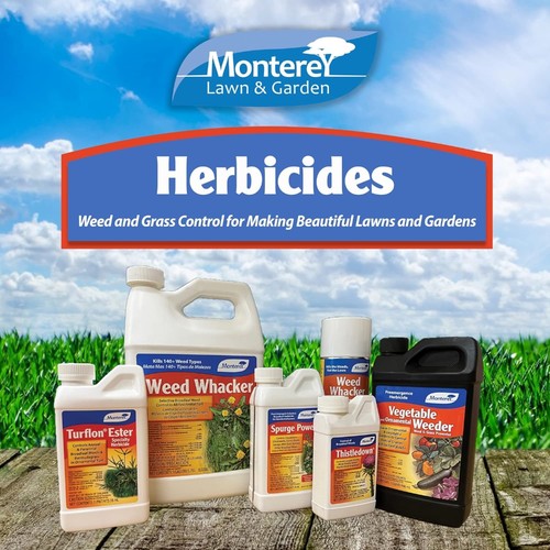 Monterey LG5328 Getter, Post Emergence Herbicide for Grass Weeds, 8 oz ...