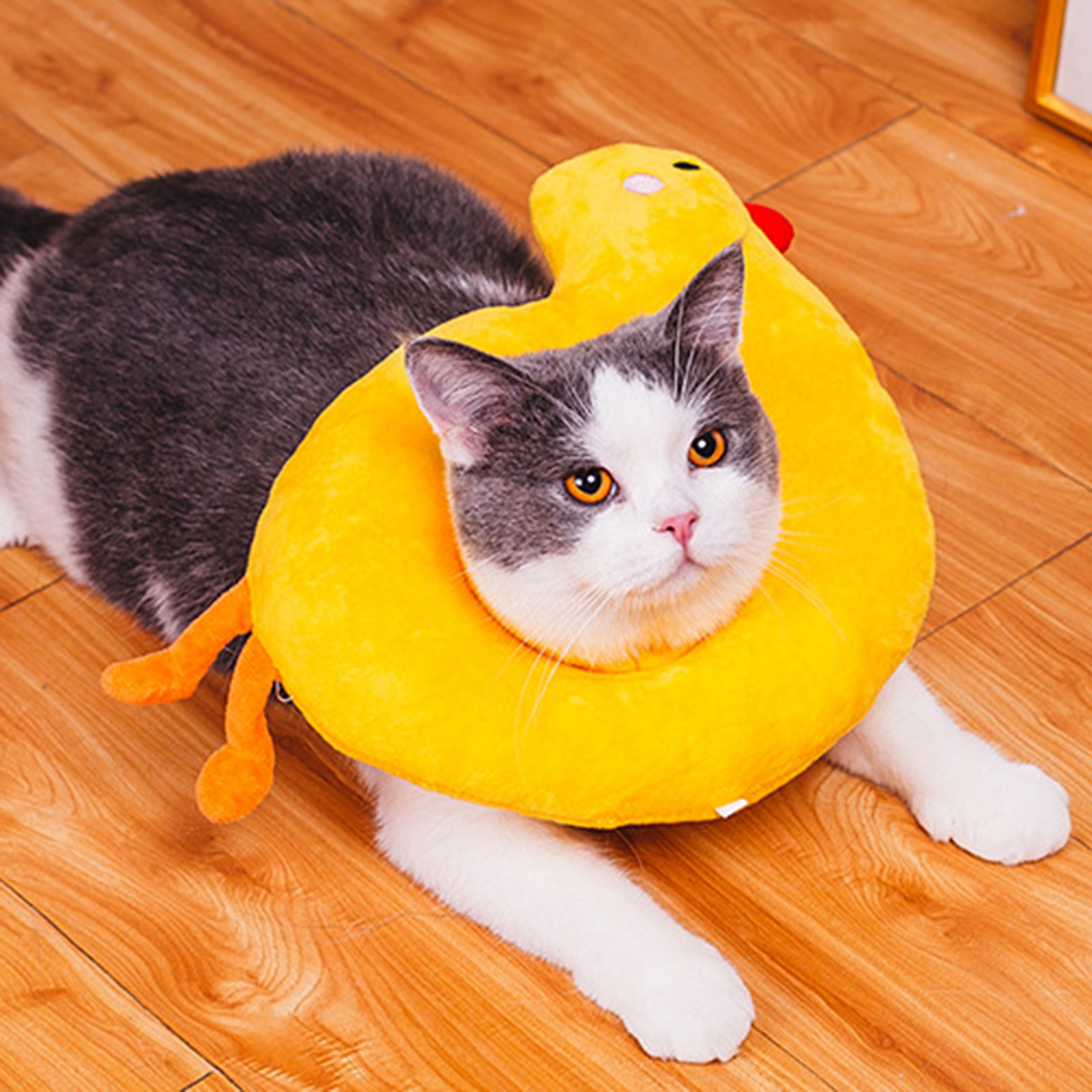 Pet Corn Collar Lovely Shape Elastic Skin-friendly Pet Dog Cat ...