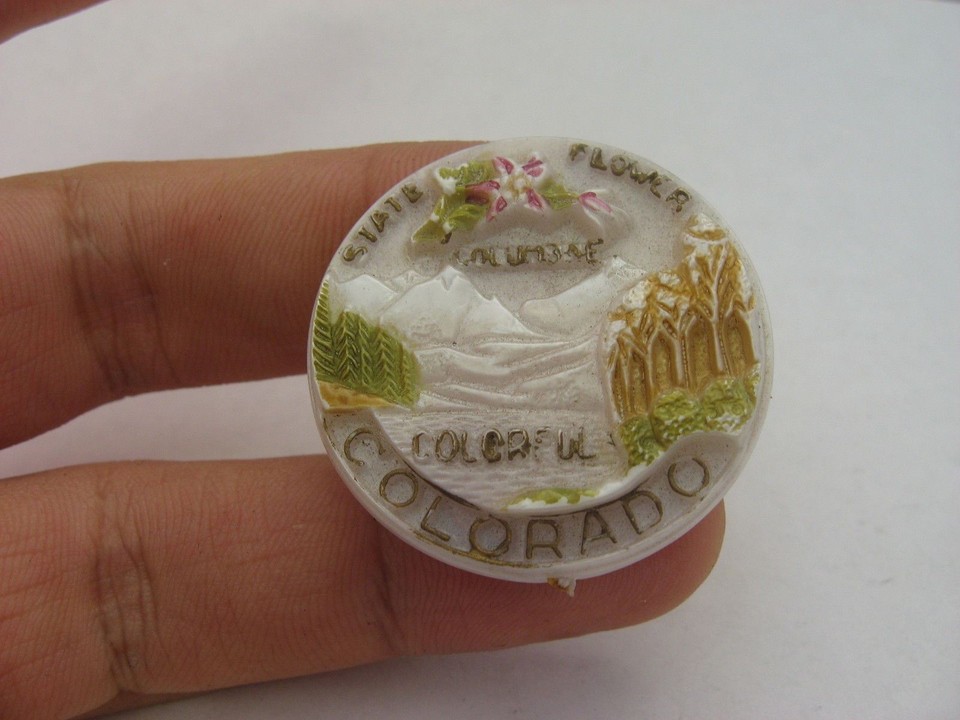 Rare Vintage Souvenir Blank: COLORADO State Flower Columbine | eBay