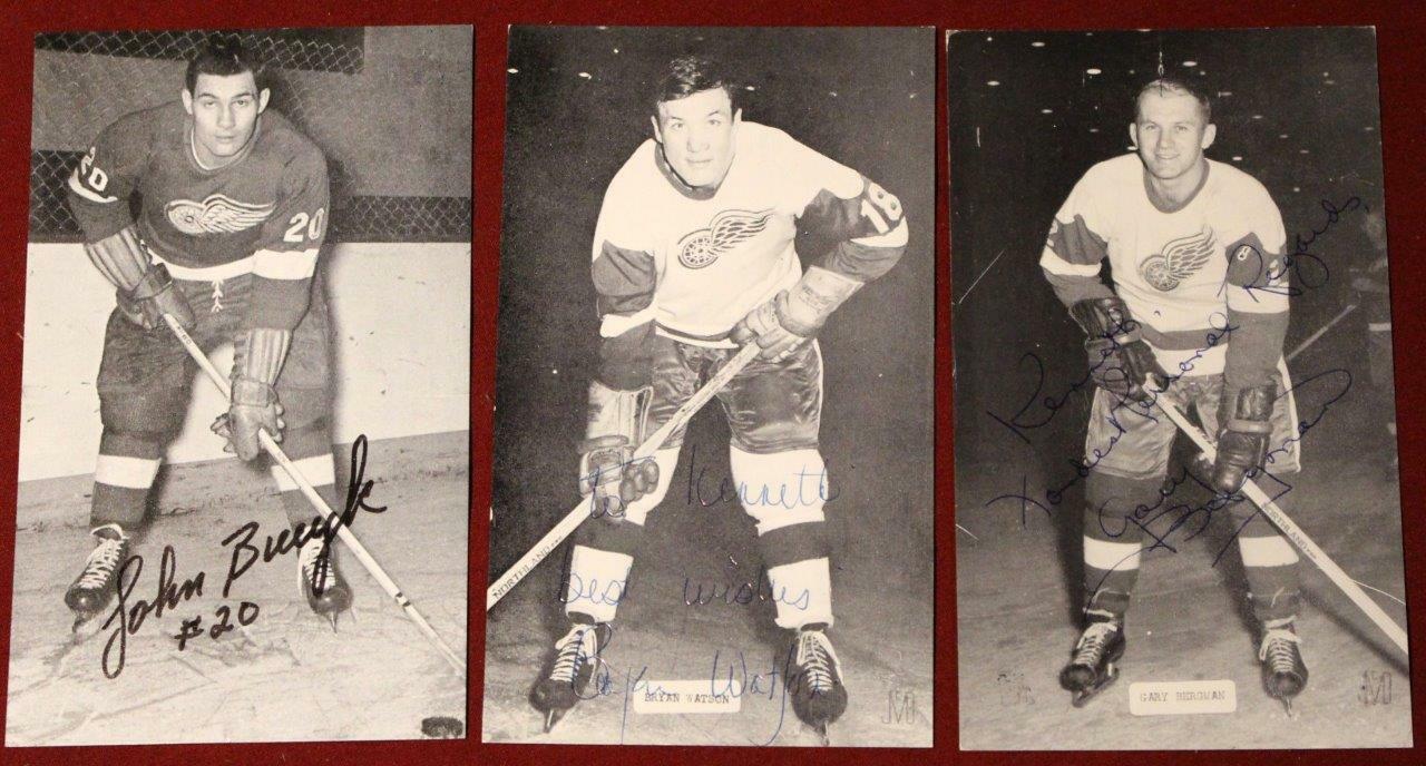 20 JD Mccarthy Signed Detroit Red Wings Postcards Gary Bergman Pete ...