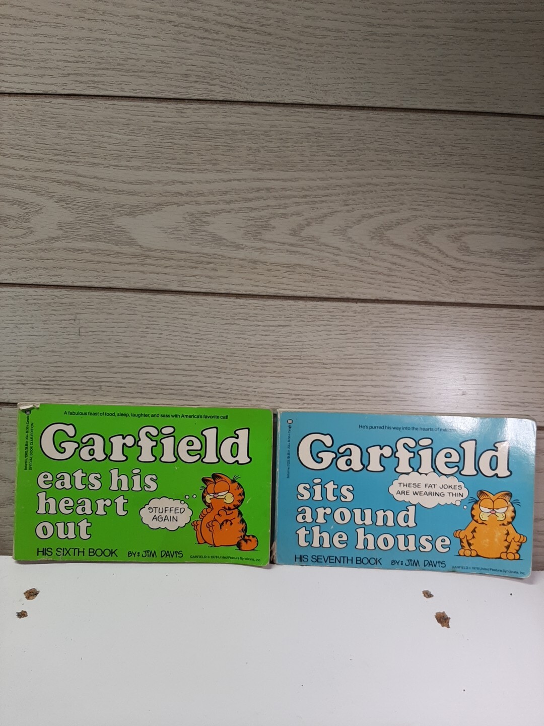 Garfield 2 Book Lot Eats His Heart Out 6 Sits Around The House 7 Vtg ...