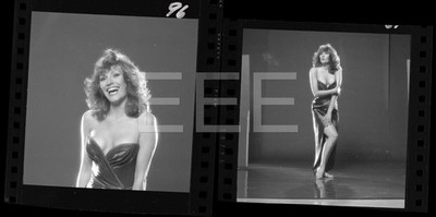 2 Roz Kelly Happy Days TV Actress Model Harry Langdon Negative w/rights ...