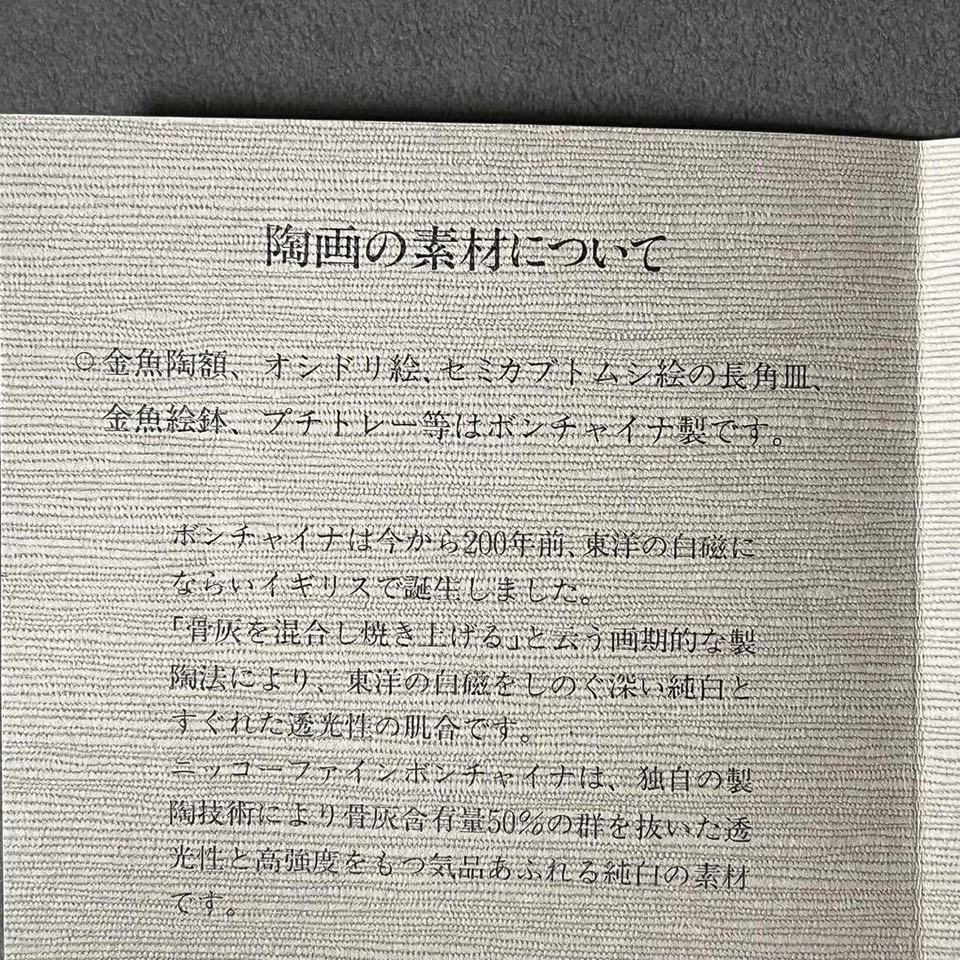 Japan Nikko Kazumasa Nakagawa Ceramic Fish Painting Plate 26cm Unused ...