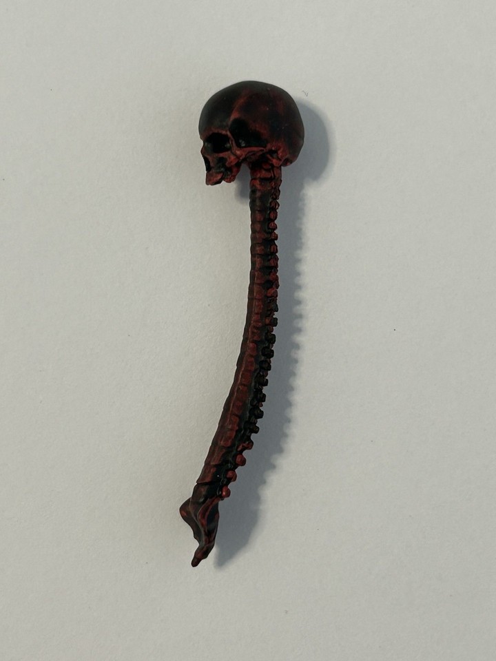 MINIATURE SKULL WITH SPINE - 1.75 Long | eBay
