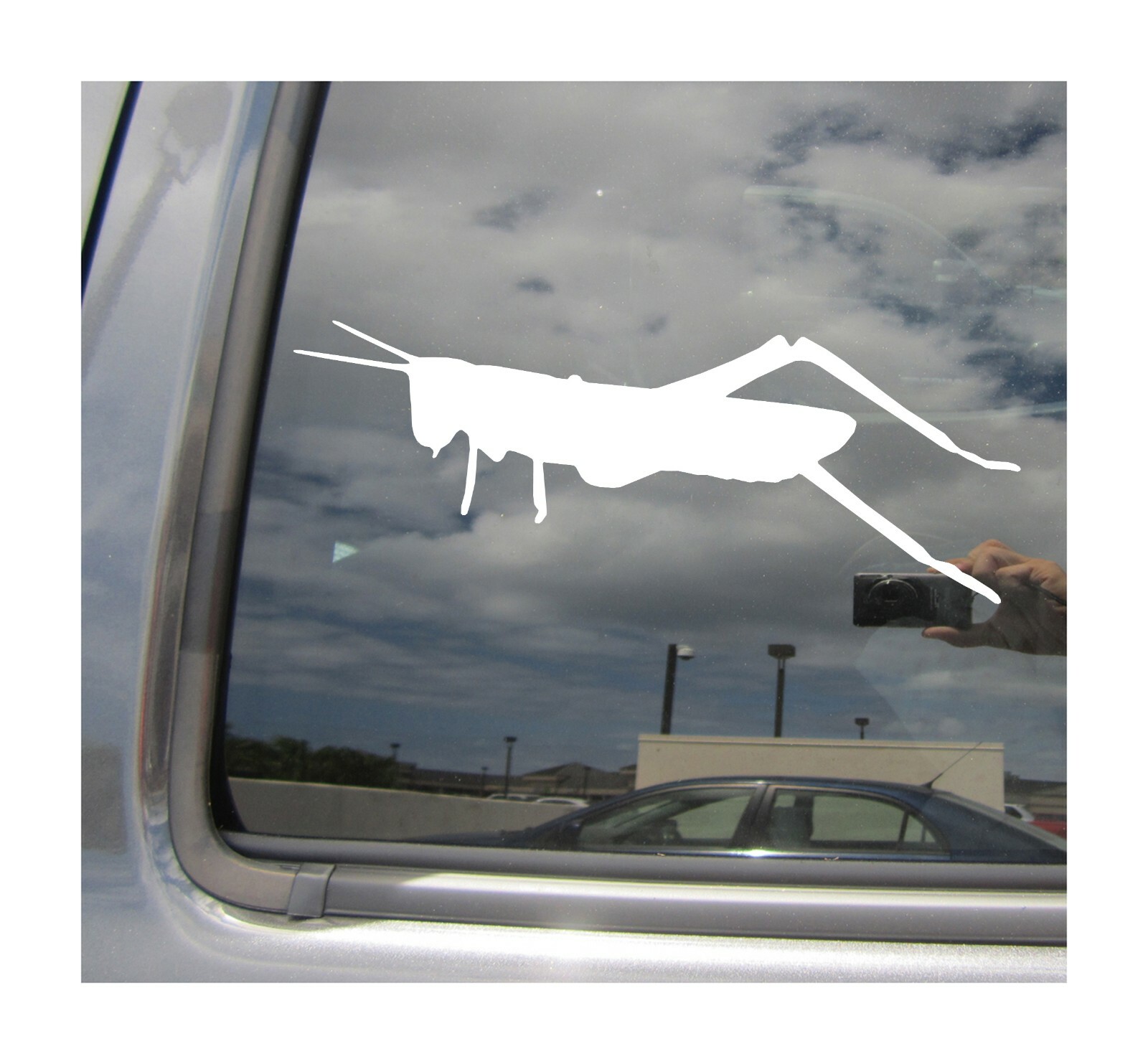 Grasshopper Insect Car Window Bumper Vinyl Decal Sticker 01303 | eBay