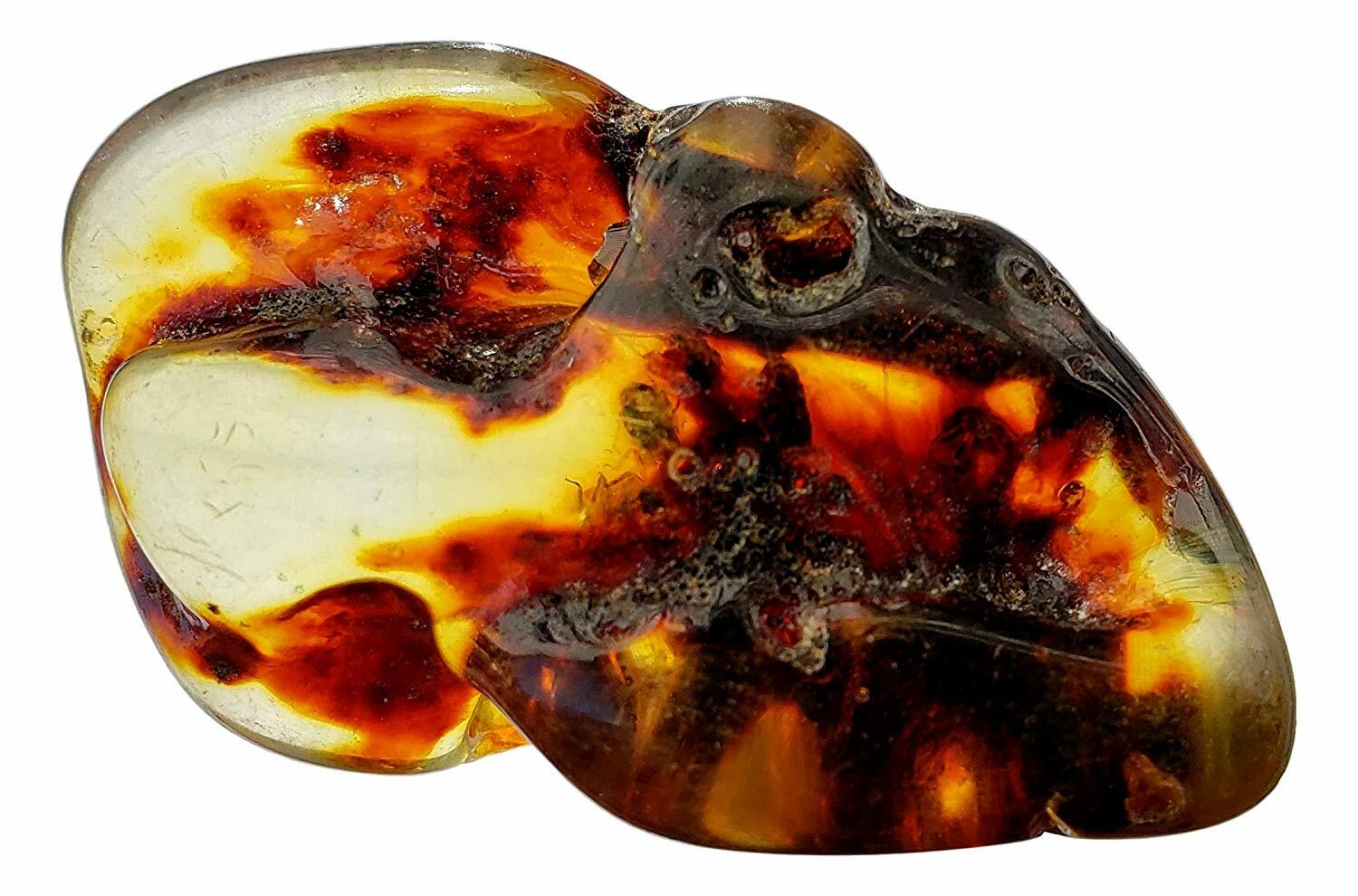 Genuine Amber Fossil Specimen - Multiple Insect - Museum Grade - (35mm ...