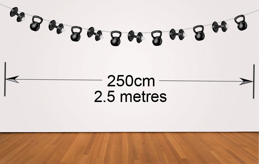 Gym Weights Bunting Birthday Events Party Decorations 12pcs / 2.5m ...