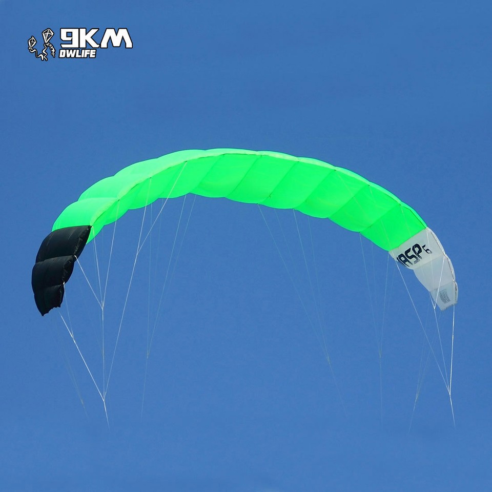 Professional 6㎡ 4 Line Power Traction Kite Kiteboarding KITESURFING ...